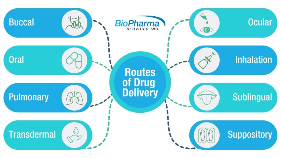 Bioequivalence Study Design - BioPharma Services