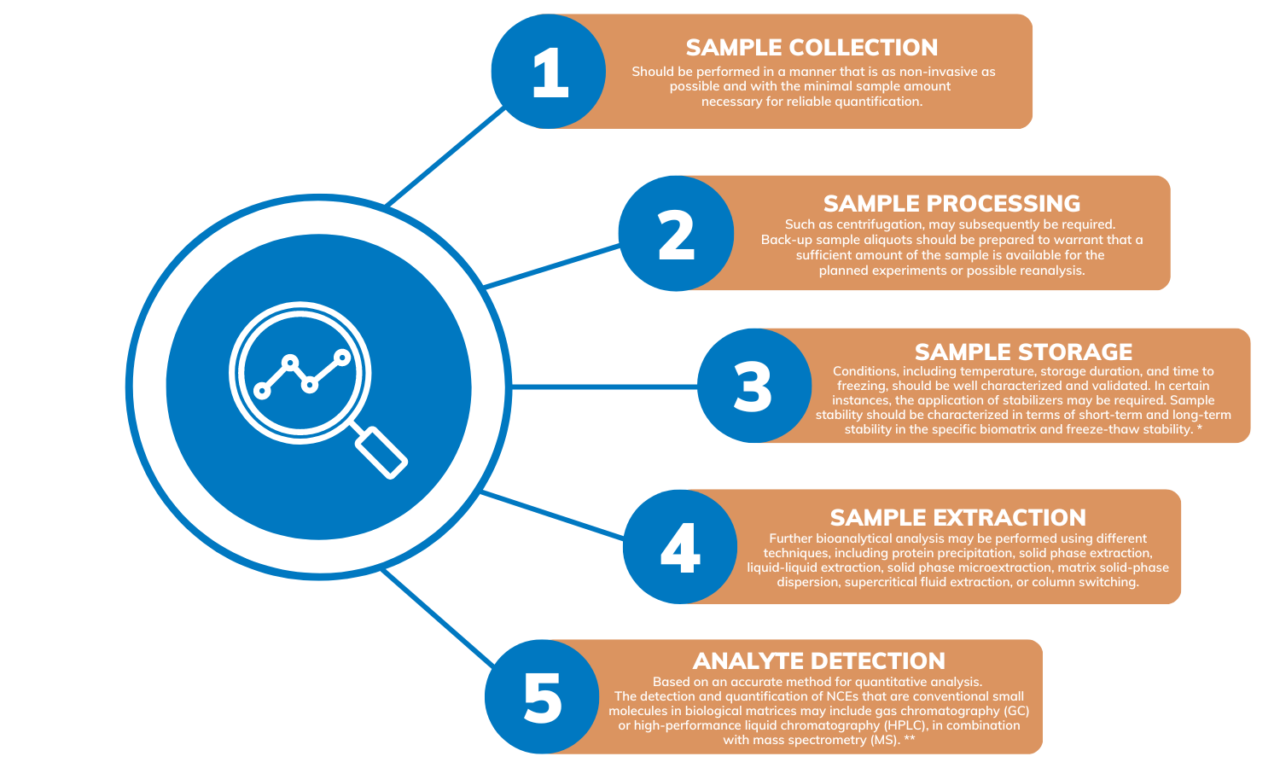State-of-the-Art Bioanalytical Testing - BioPharma Services