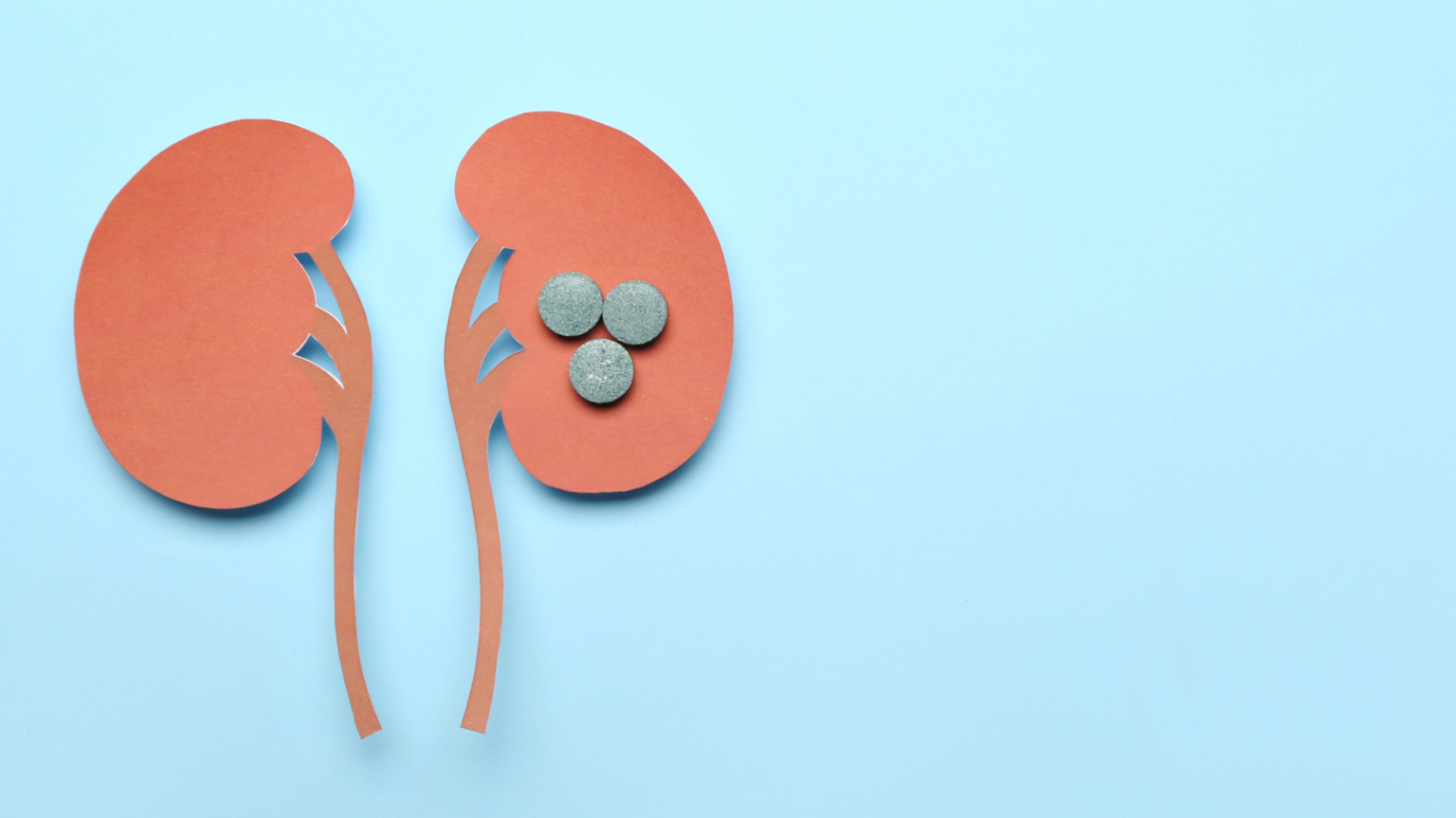 Renal Impairment Clinical Trials - BioPharma Services