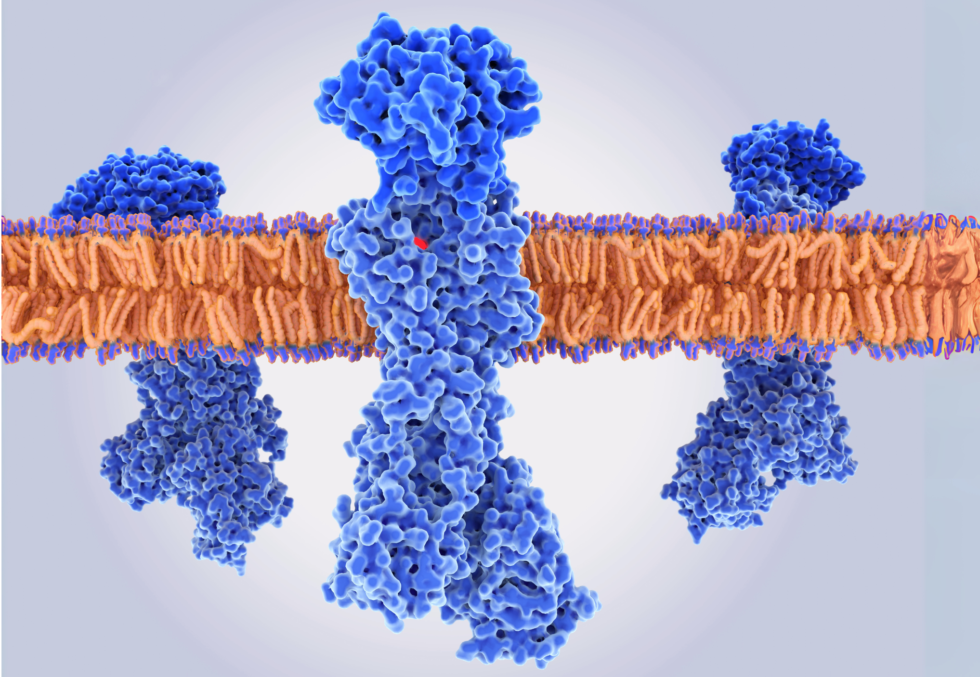 How Acid-Reducing Drugs Like PPIs Interfere With Your Medications — And ...